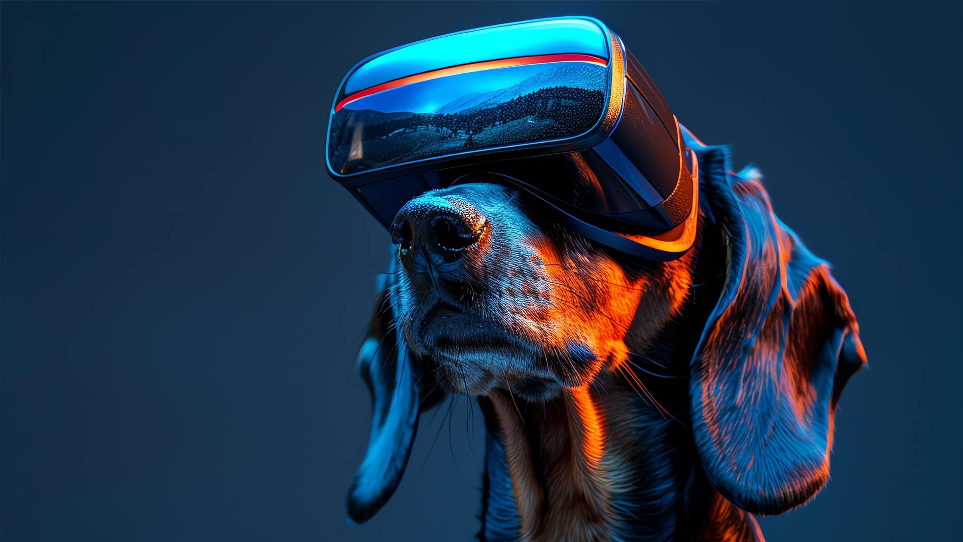 Interpretare la realtà: cosa significa il mondo per un cane ...